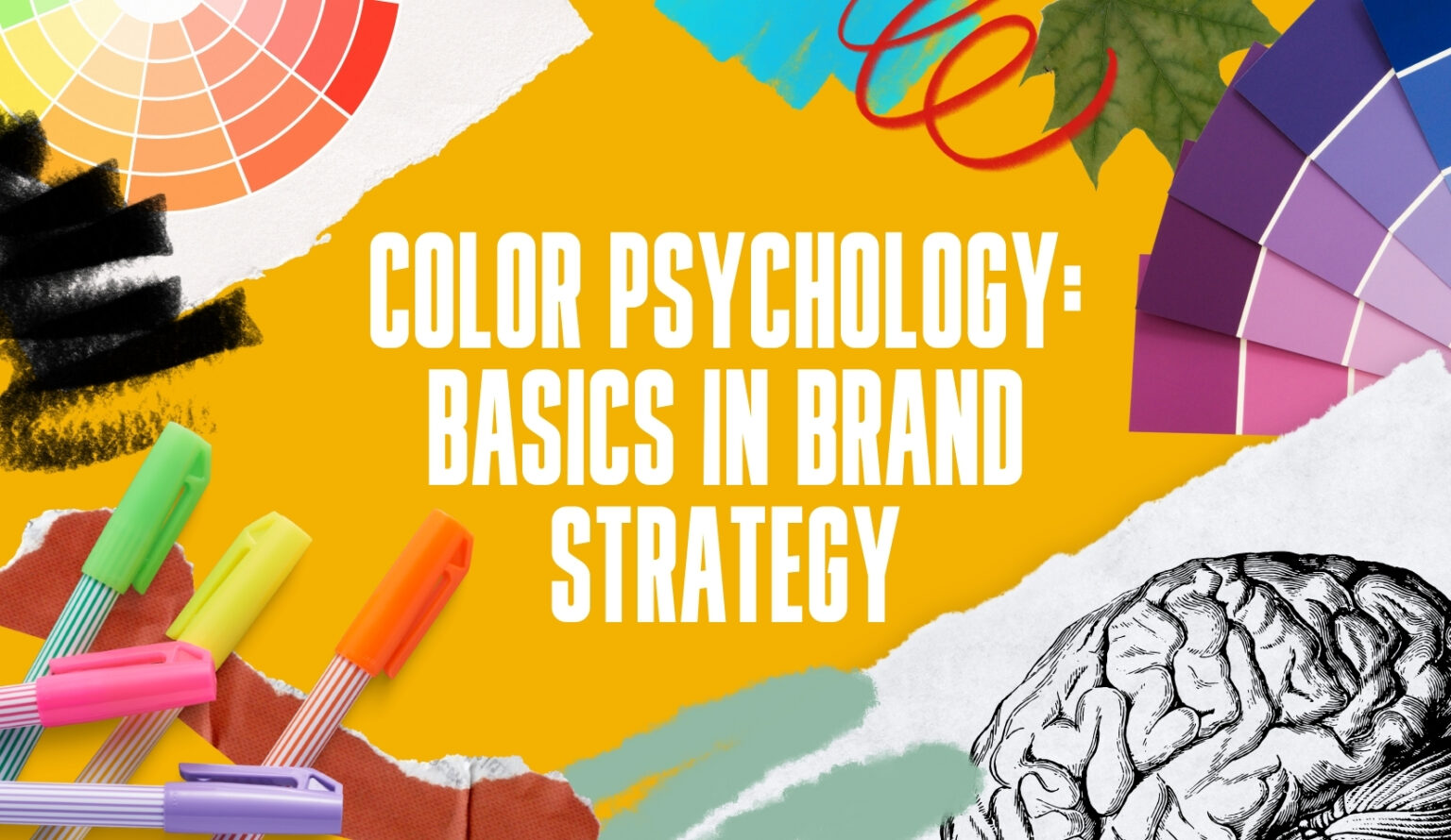 Color Psychology in Design: Basics in Brand Strategy